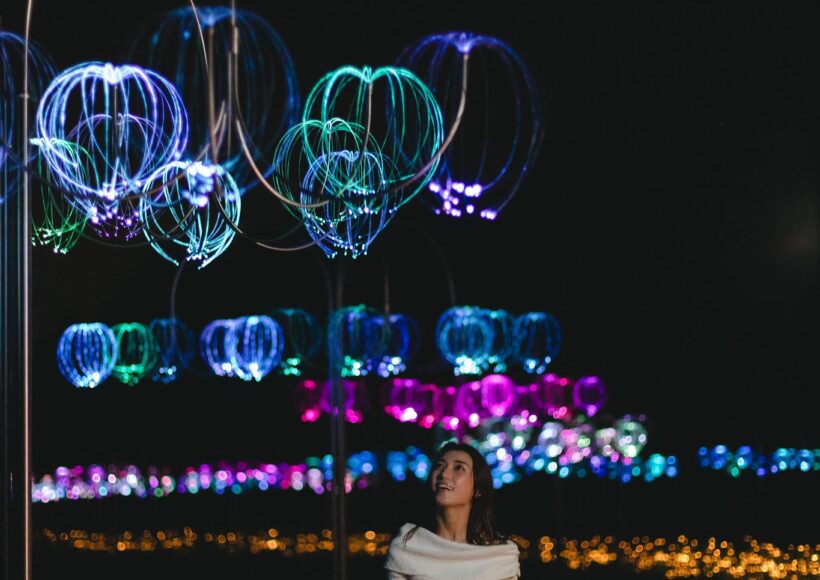 Activities | Nikko Style Niseko HANAZONO | Official Website