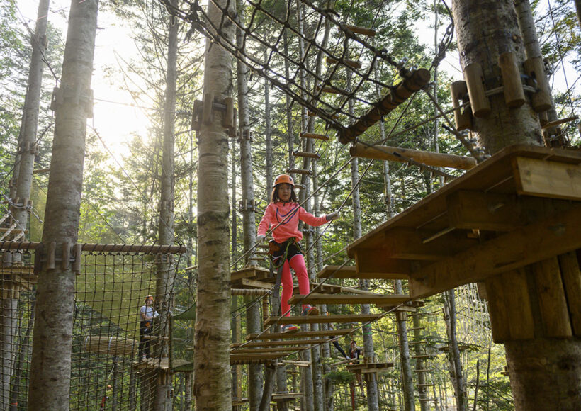 Activities | Nikko Style Niseko HANAZONO | Official Website